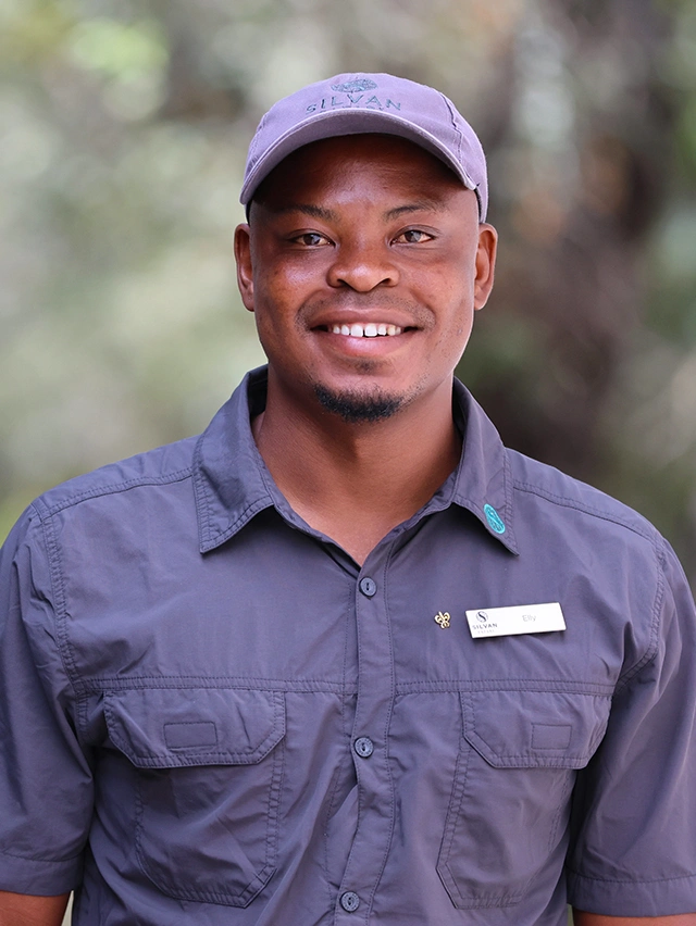 The Silvan Family Tree: Meet the Team